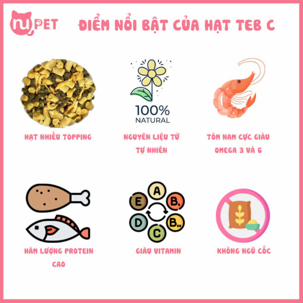 Hạt Teb C cao cấp cho mèo bịch 2kg - Nupet - Pet khoẻ sen vui