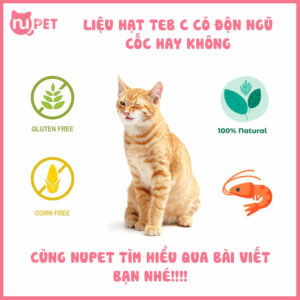 Review hạt Teb C cho mèo có tốt không ? có độn ngũ cốc không