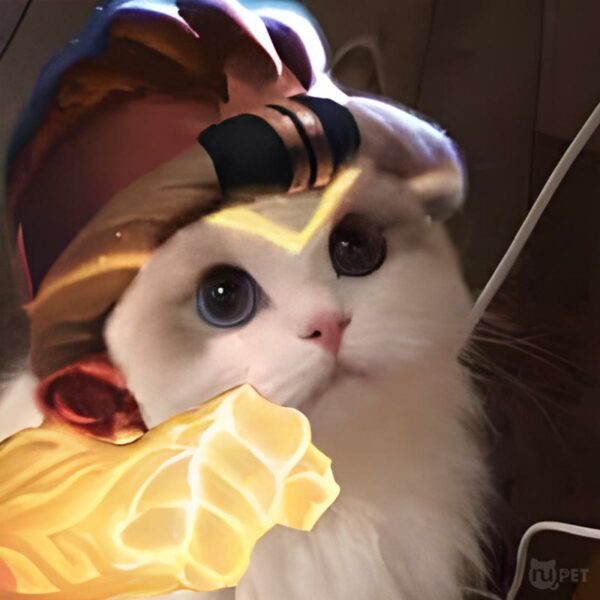 Tổng Hợp 100+ Ảnh Avatar Cute Mèo Cực Dễ Thương