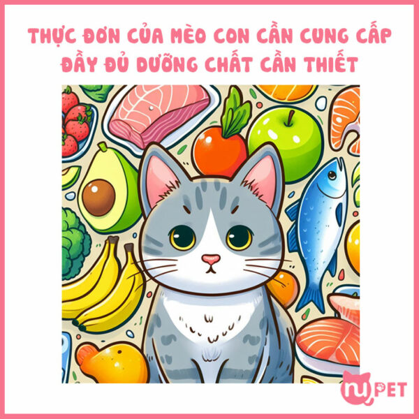 Thực đơn cho mèo con 2 tháng tuổi: Cung cấp dinh dưỡng