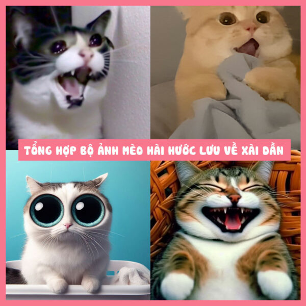 Tổng hợp 100+ hình nền con mèo cho điện thoại: Đẹp, Cute và Ngầu