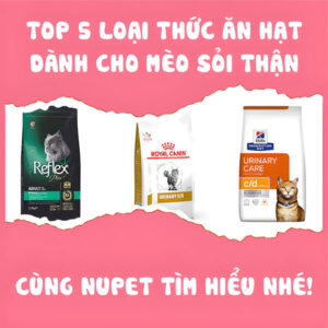 Tổng Hợp 100+ Ảnh AI mèo ngầu cool cực chất